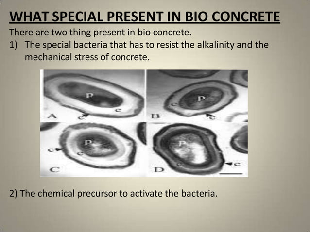 bio cement and concrete.pptx | Free Download