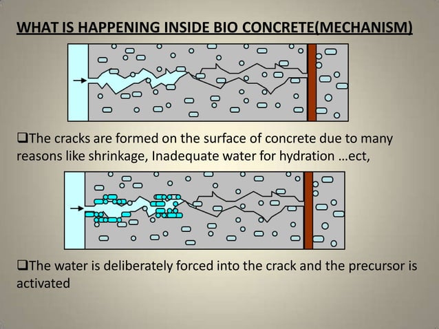 bio cement and concrete.pptx