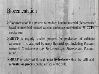 bio cement and concrete.pptx