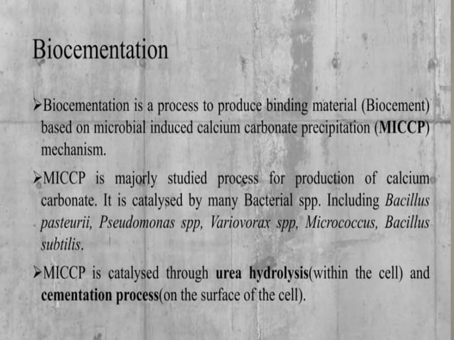 bio cement and concrete.pptx