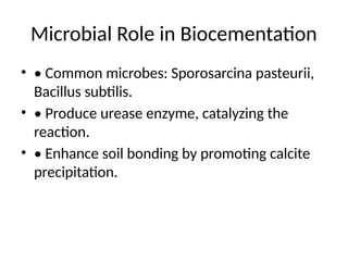 Biocementation_Presentation ppt bio.pptx