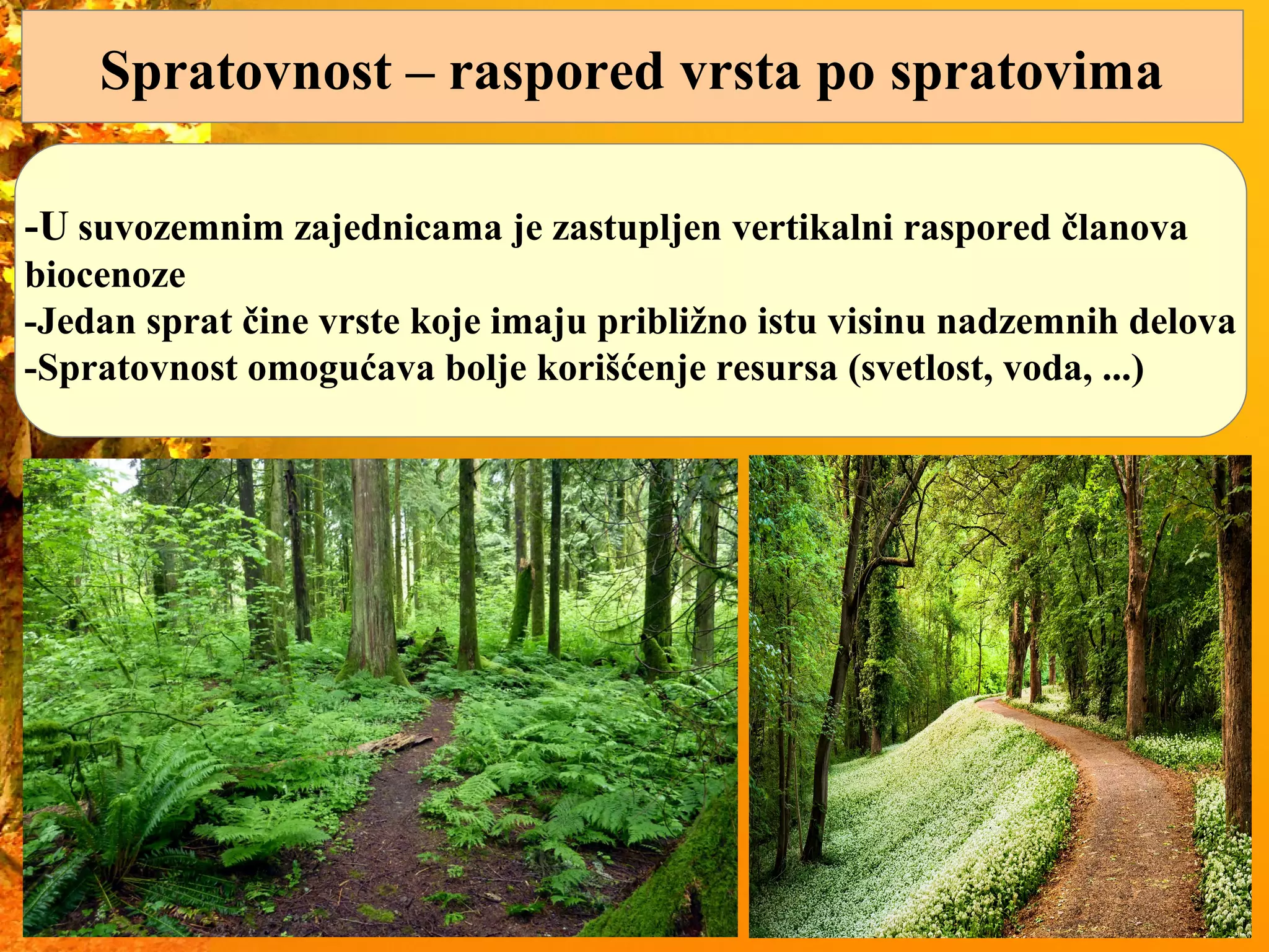 Biocenoza | PPT