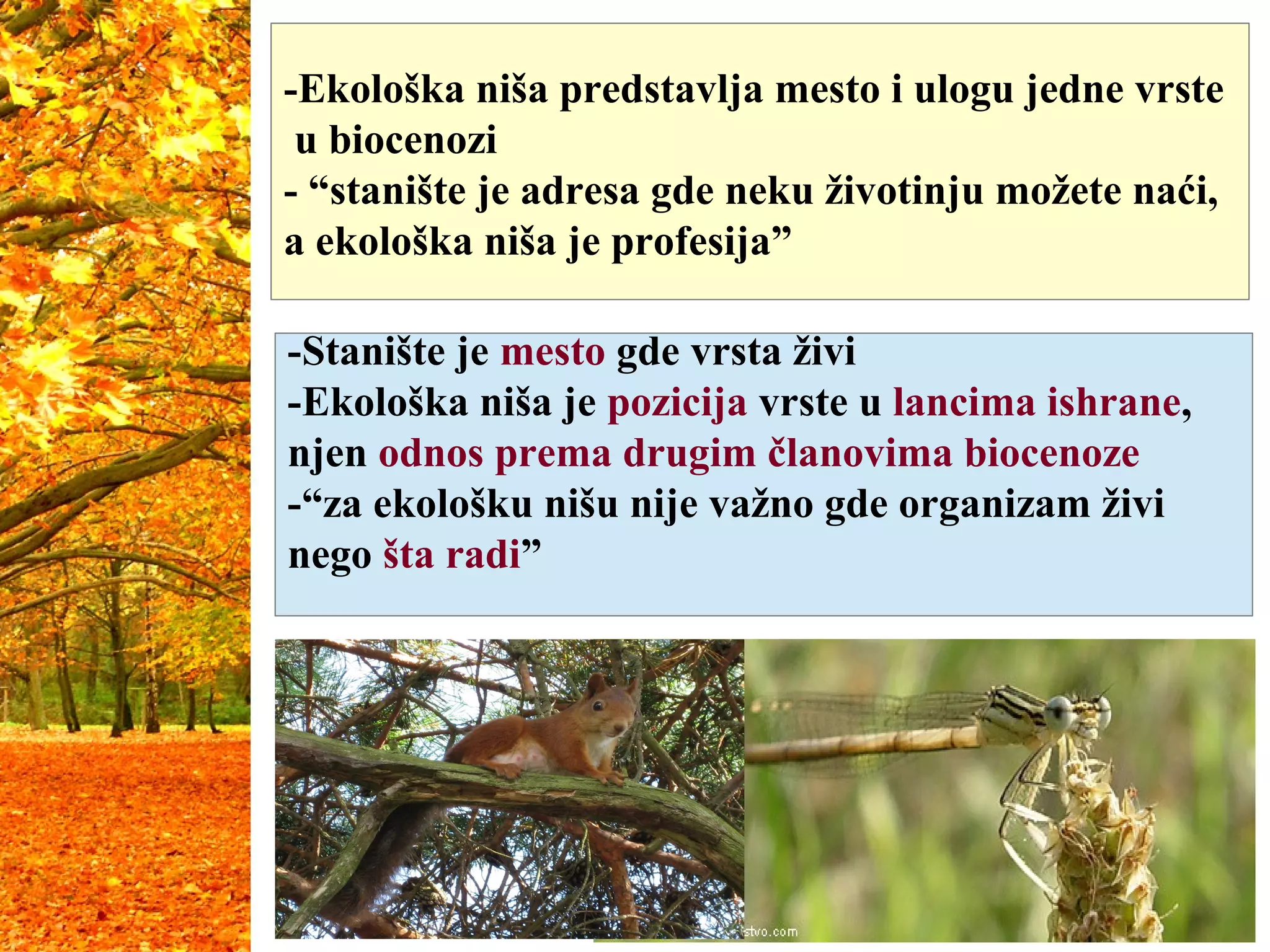 Biocenoza | PPT