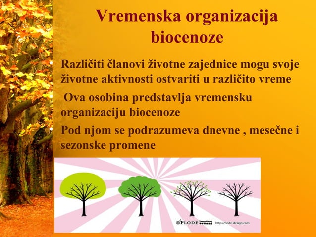 Biocenoza | PPT
