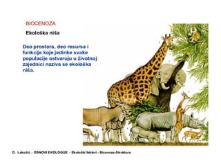 Biocenoza | PPT