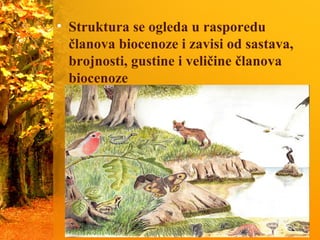 Biocenoza | PPT