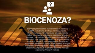 Biocenoza.pptx
