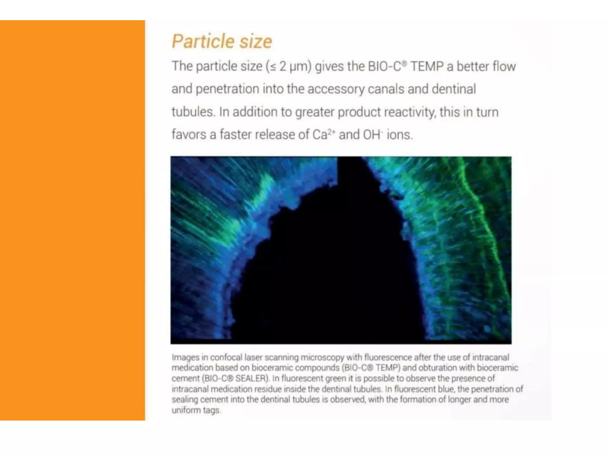 Bioceramics in dentistry.pptx