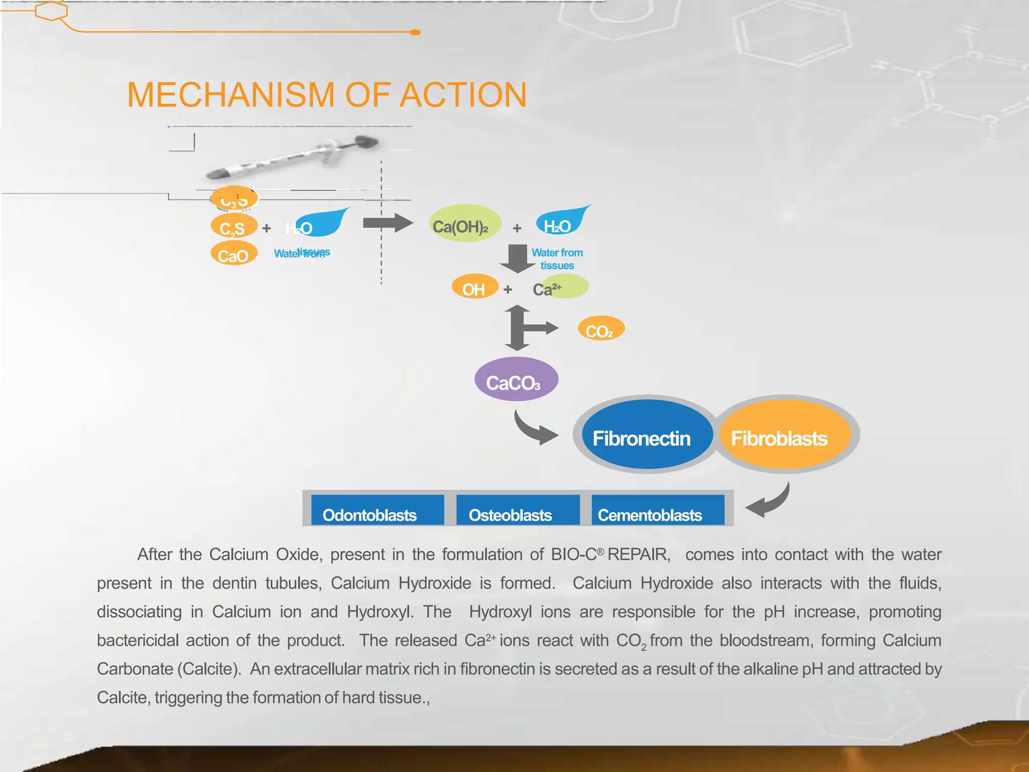 Bioceramics in dentistry.pptx