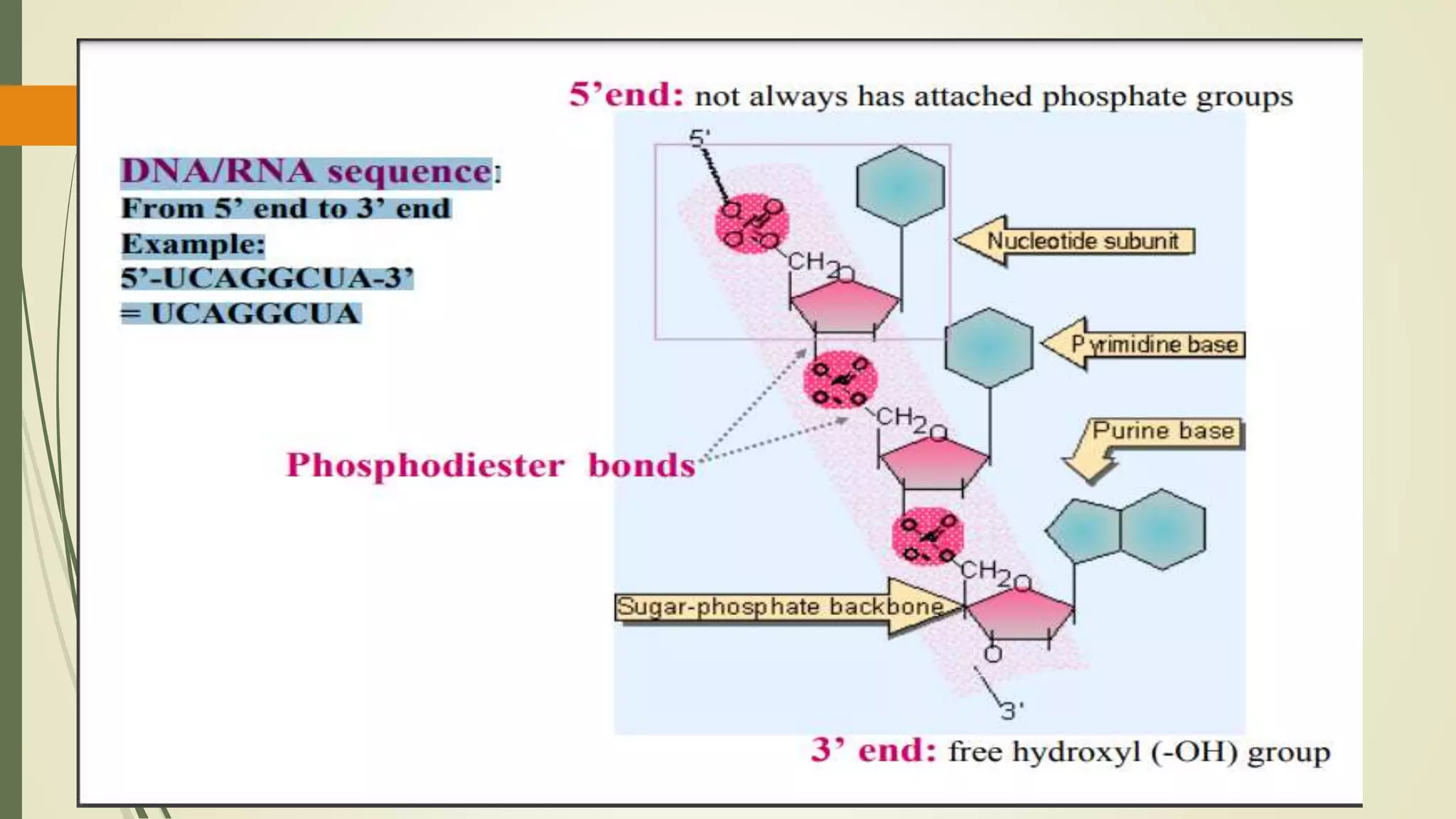 BIO CERTIFICATE.pptx