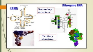 BIO CERTIFICATE.pptx