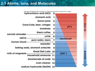 Bio ch02 chemistry basis | PPT