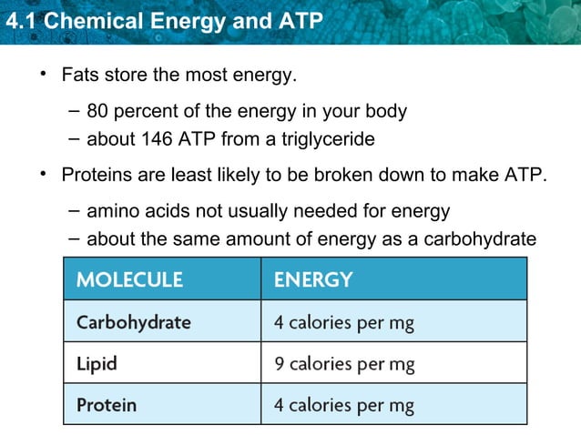 ATP, Photosynthesis & Cellular Respiration Notes | PPT