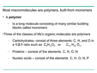 Bio Ch05 For Idol | PPT