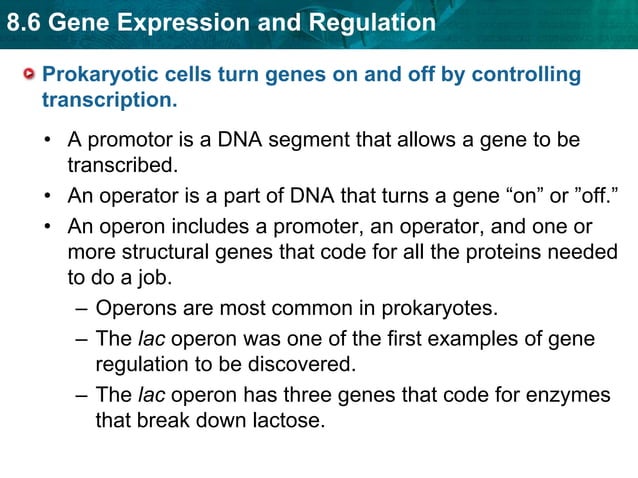 Gene Expression & regulation | PPT