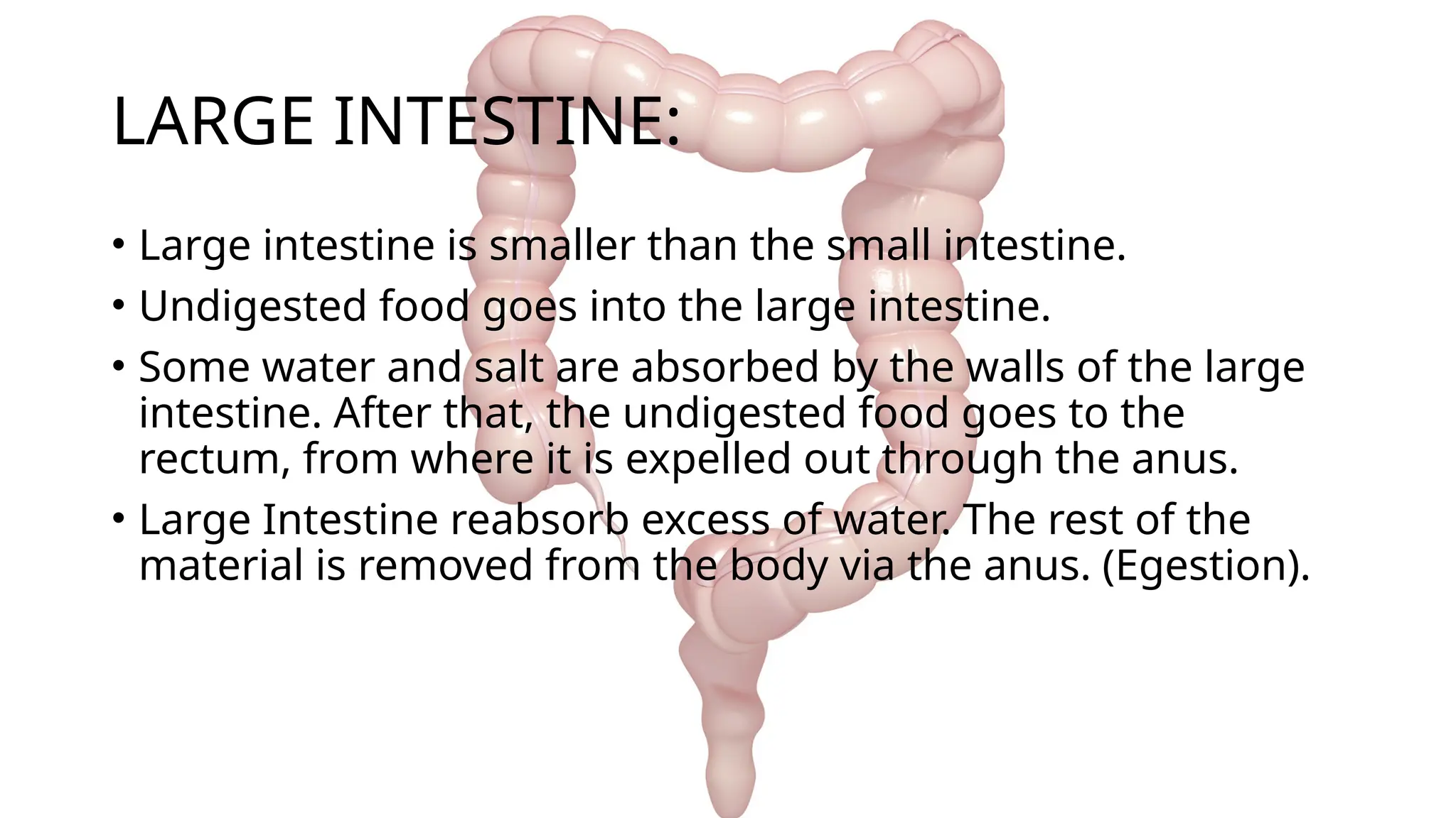 Class 10 Science Biology chapter 1 life processes | PPTX