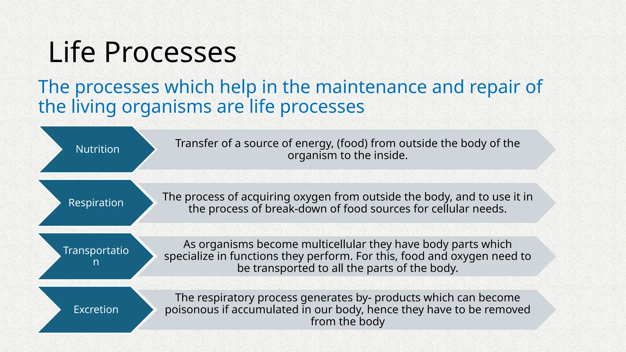 Class 10 Science Biology chapter 1 life processes | PPTX
