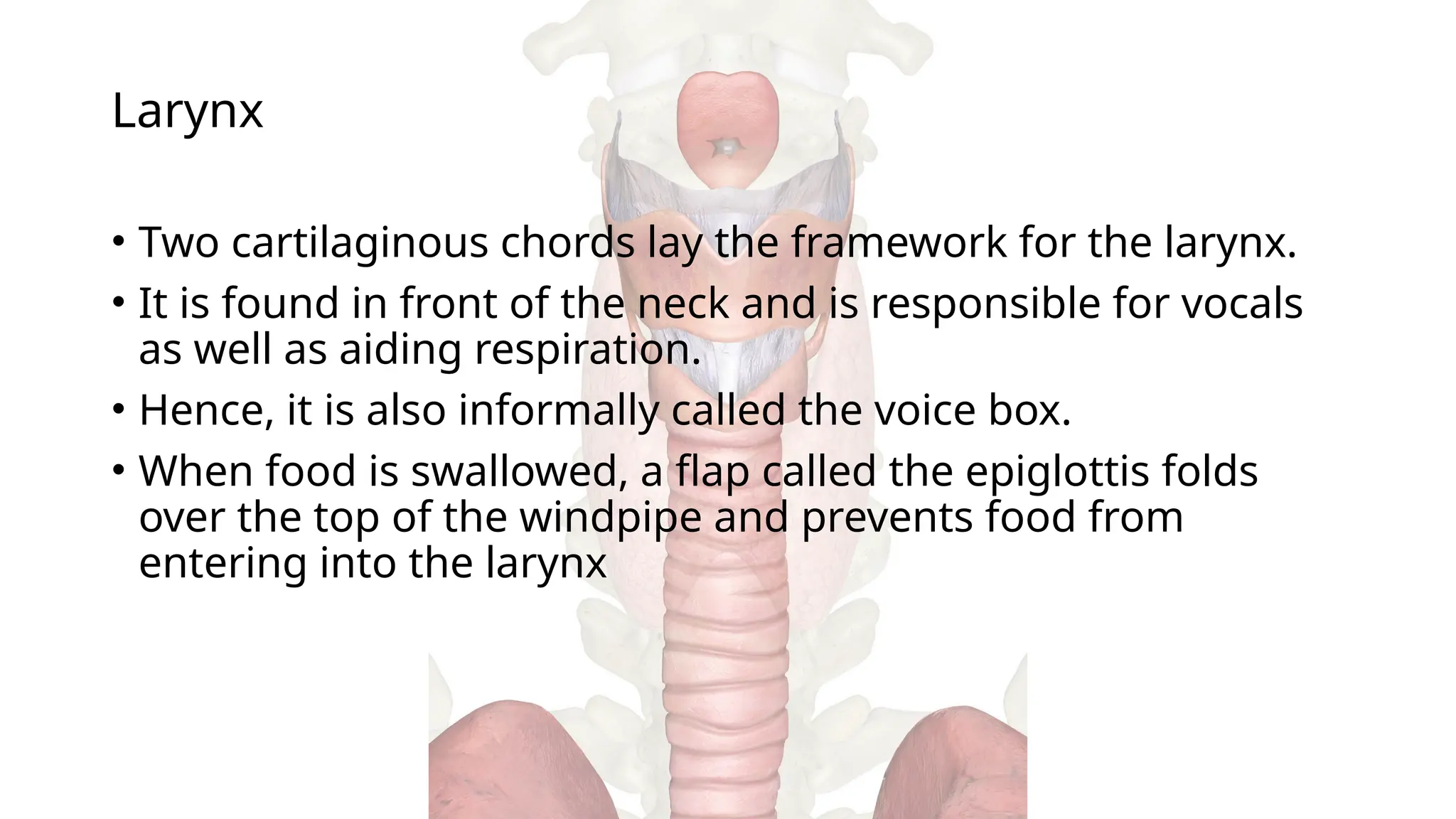 Class 10 Science Biology chapter 1 life processes | PPTX