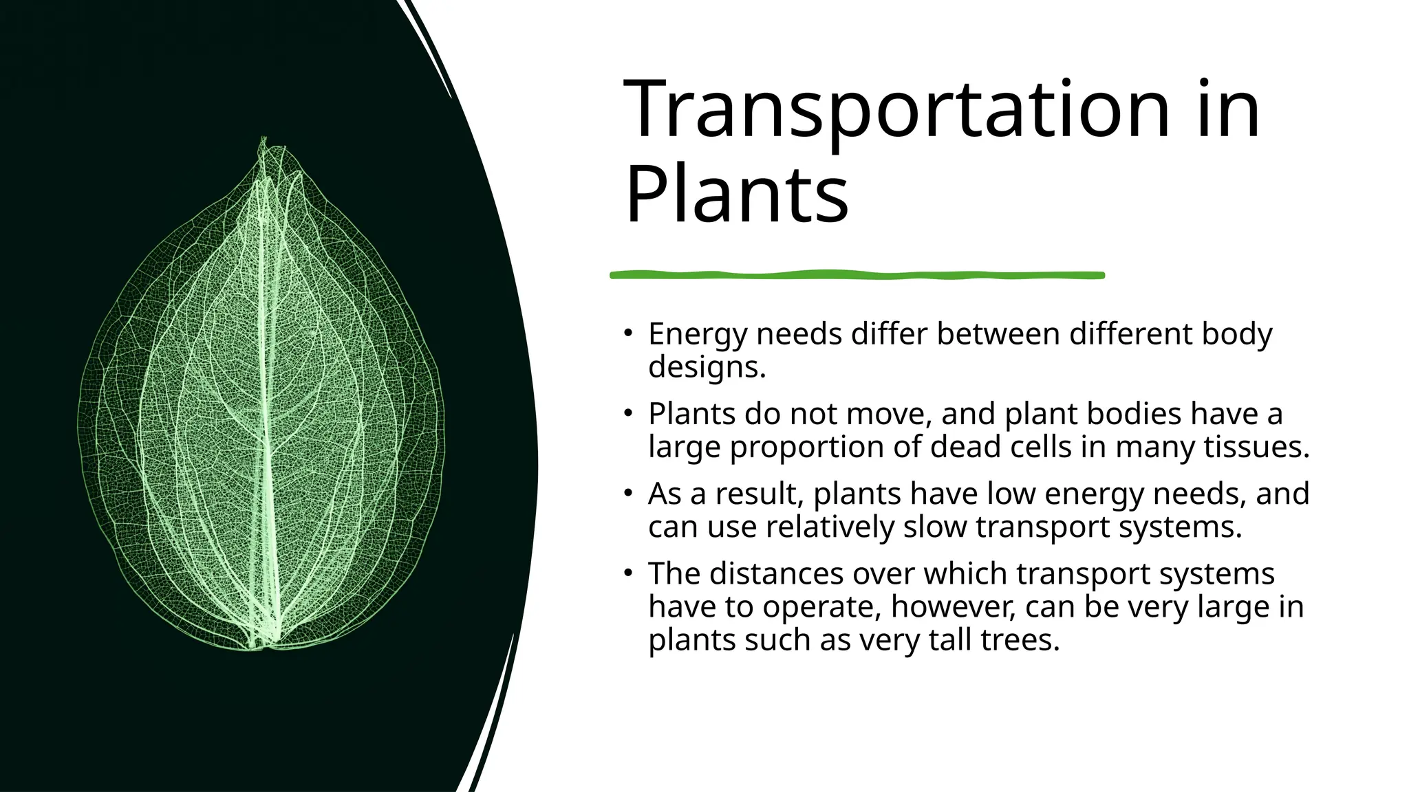 Class 10 Science Biology chapter 1 life processes | PPTX