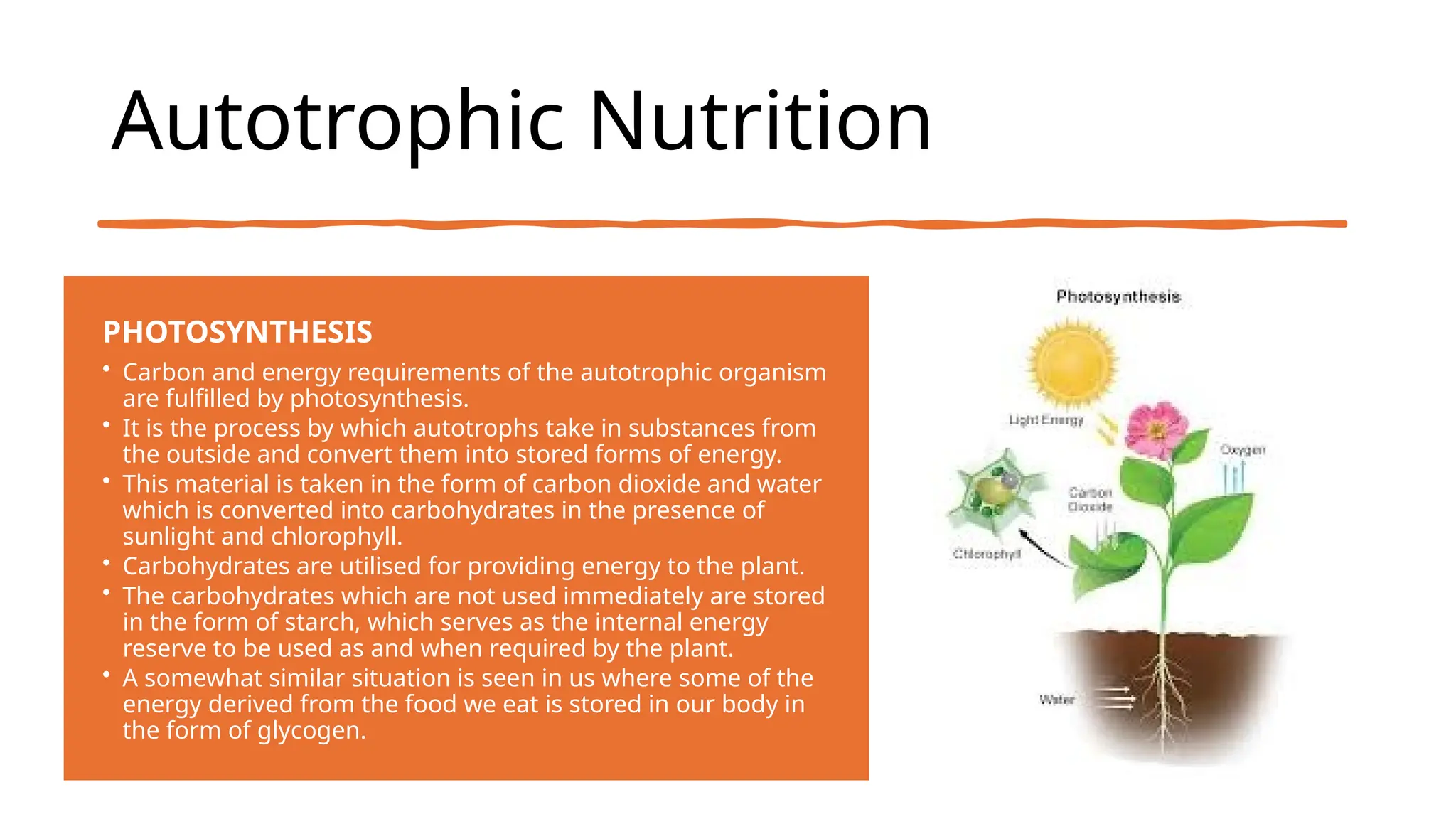Class 10 Science Biology chapter 1 life processes | PPTX