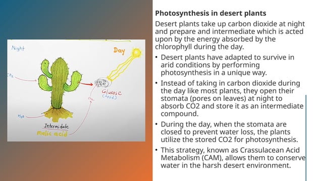 Class 10 Science Biology chapter 1 life processes | PPTX
