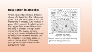Class 10 Science Biology chapter 1 life processes | PPTX