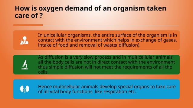 Class 10 Science Biology chapter 1 life processes | PPTX