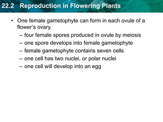 bio_ch22-2.ppt plant reproduction botanical studies | PPT