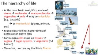 Biology 101_Chemistry of Life | PPTX