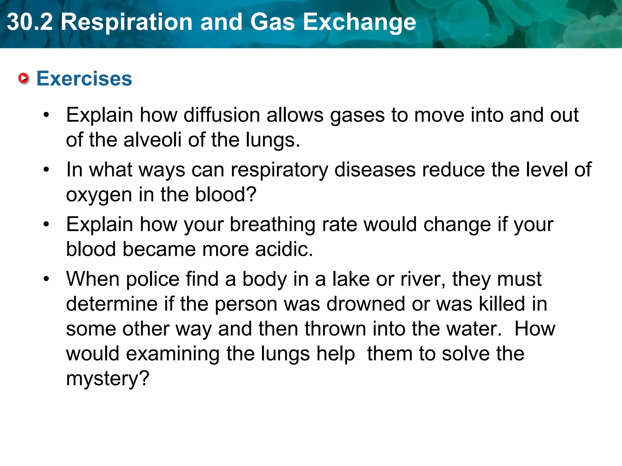 Breathing and Gas Exchange | PPT