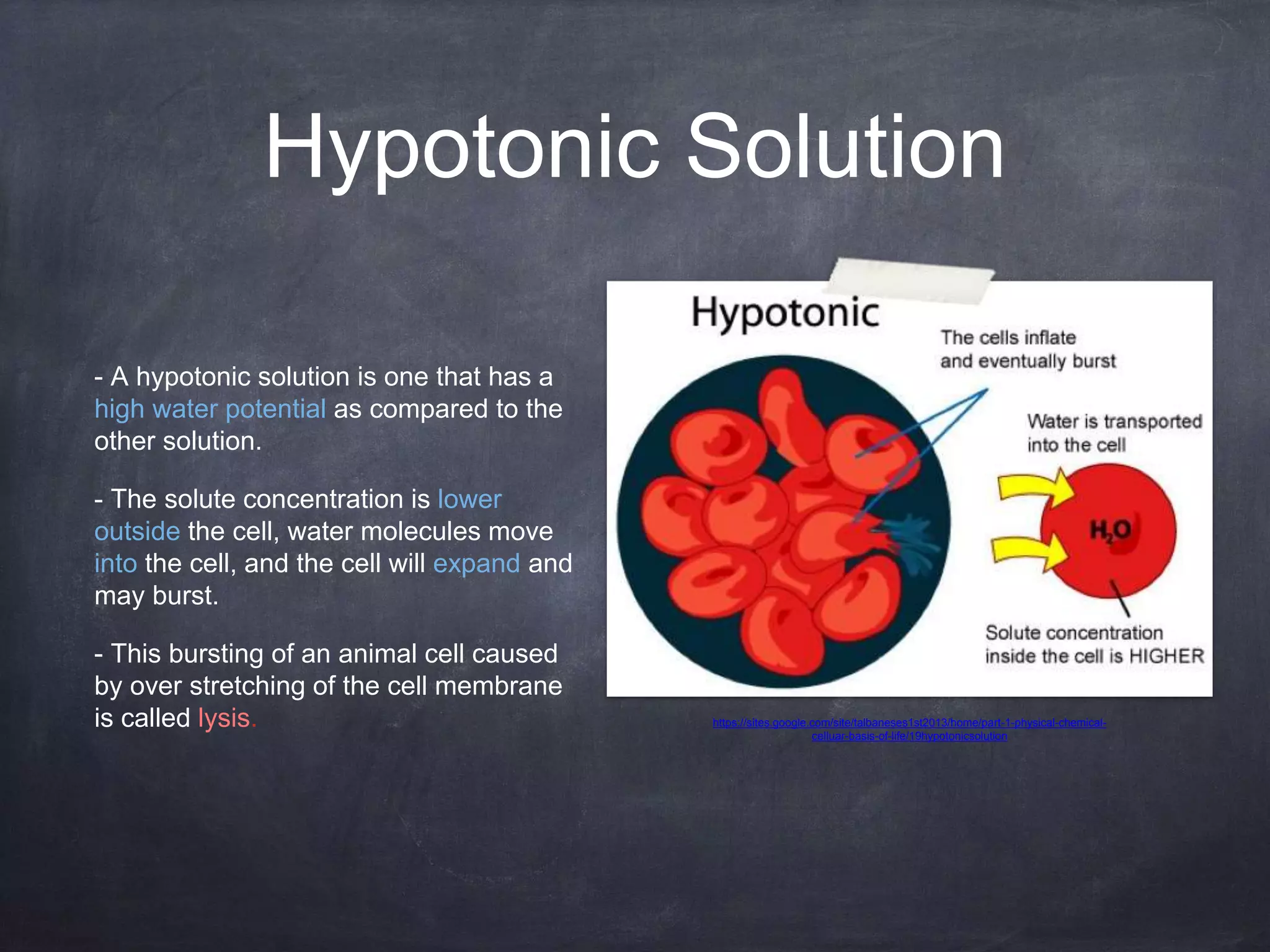 Biology - Osmosis and Tonicity | PPTX