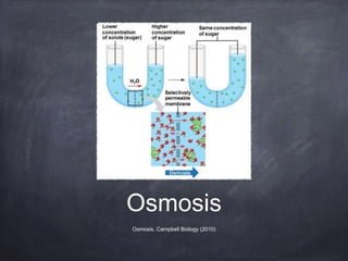 Biology - Osmosis and Tonicity | PPTX