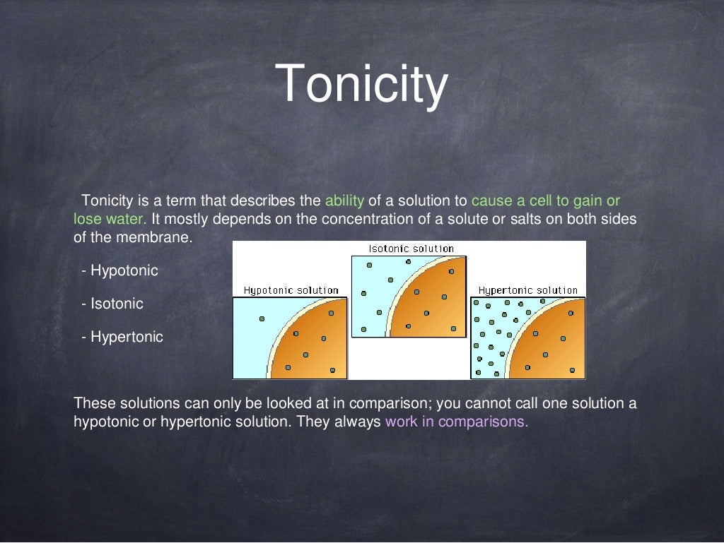 Biology - Osmosis and Tonicity