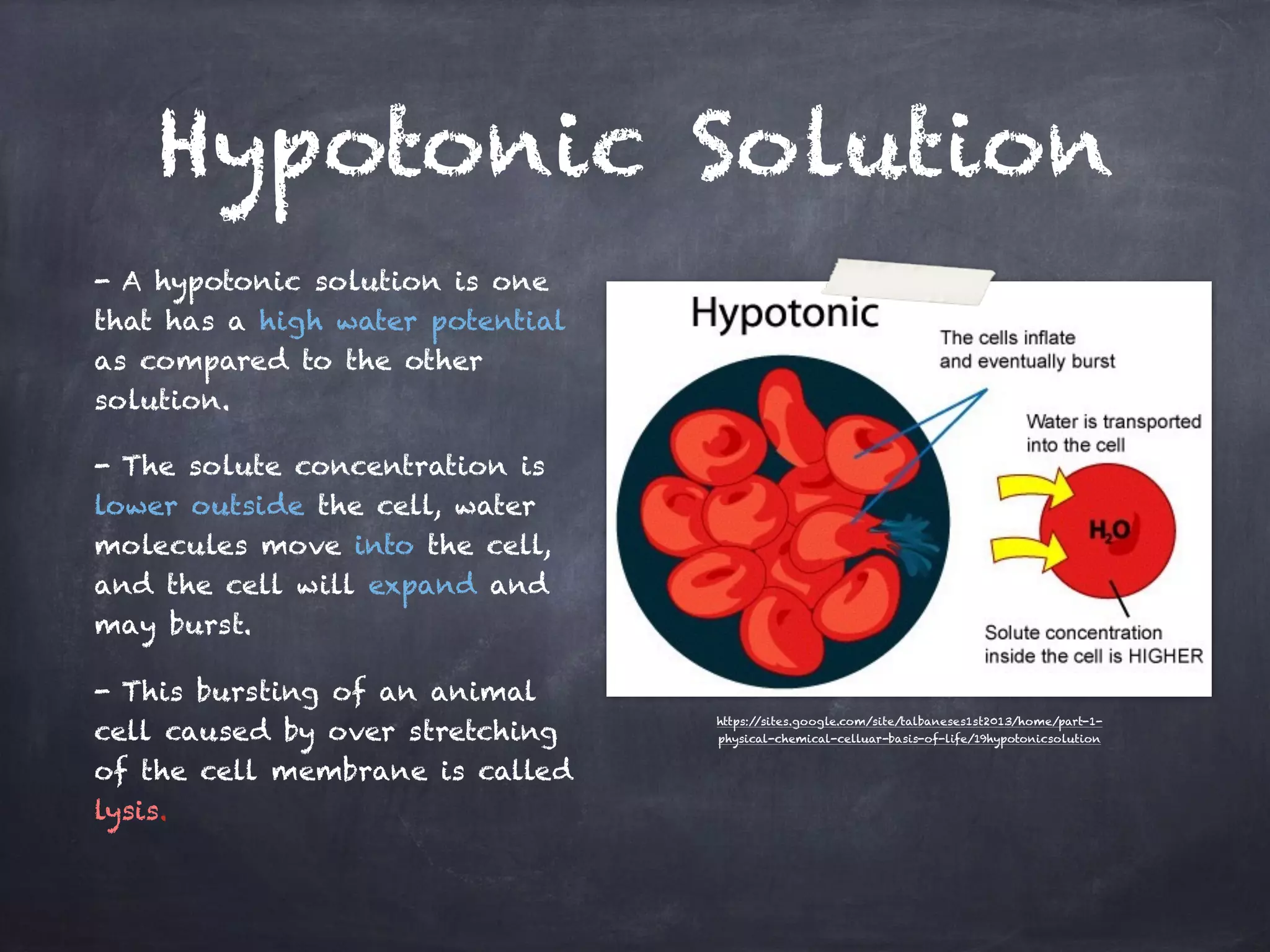 Biology - Osmosis and Tonicity | PDF