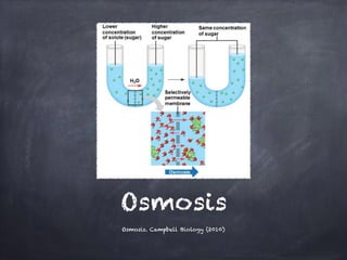 Biology - Osmosis and Tonicity | PDF