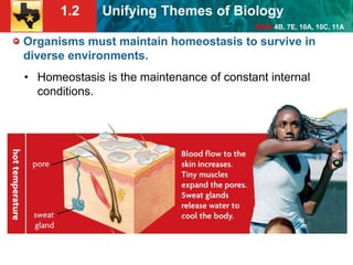 bio chapter 1.2.ppt | Biological Sciences | Science