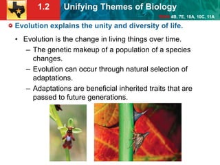 bio chapter 1.2.ppt | Biological Sciences | Science