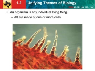 bio chapter 1.2.ppt | Biological Sciences | Science