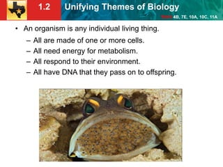 bio chapter 1.2.ppt