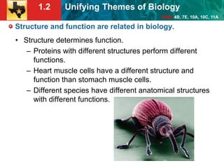 bio chapter 1.2.ppt | Biological Sciences | Science