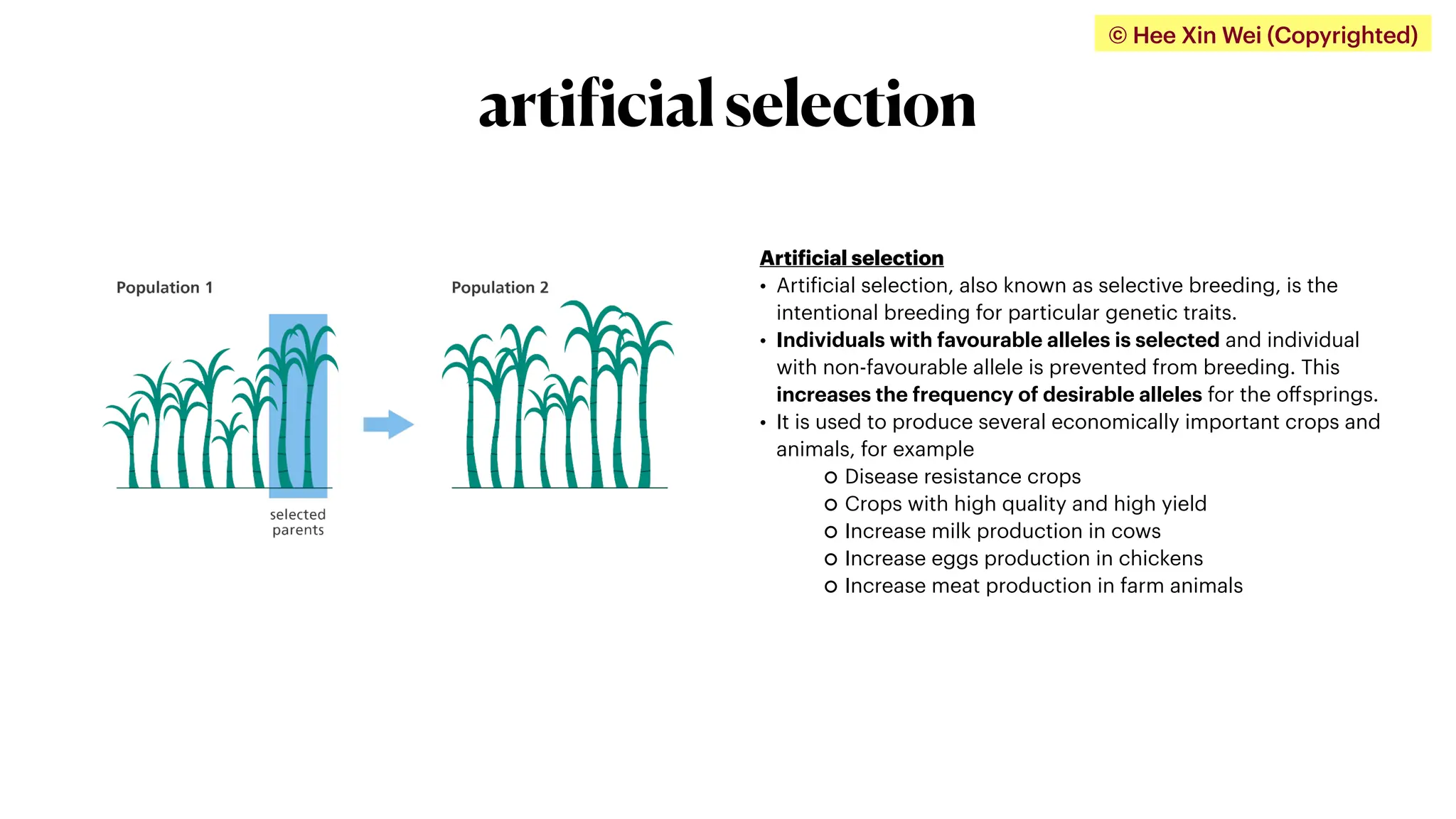 [BIO] Chapter 18 - Inheritance notes.pdf