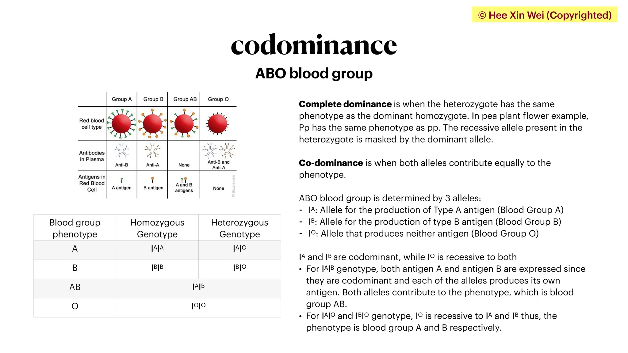 [BIO] Chapter 18 - Inheritance notes.pdf