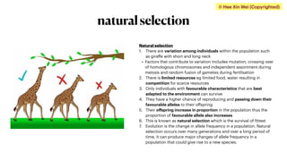 [BIO] Chapter 18 - Inheritance notes.pdf