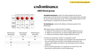 [BIO] Chapter 18 - Inheritance notes.pdf