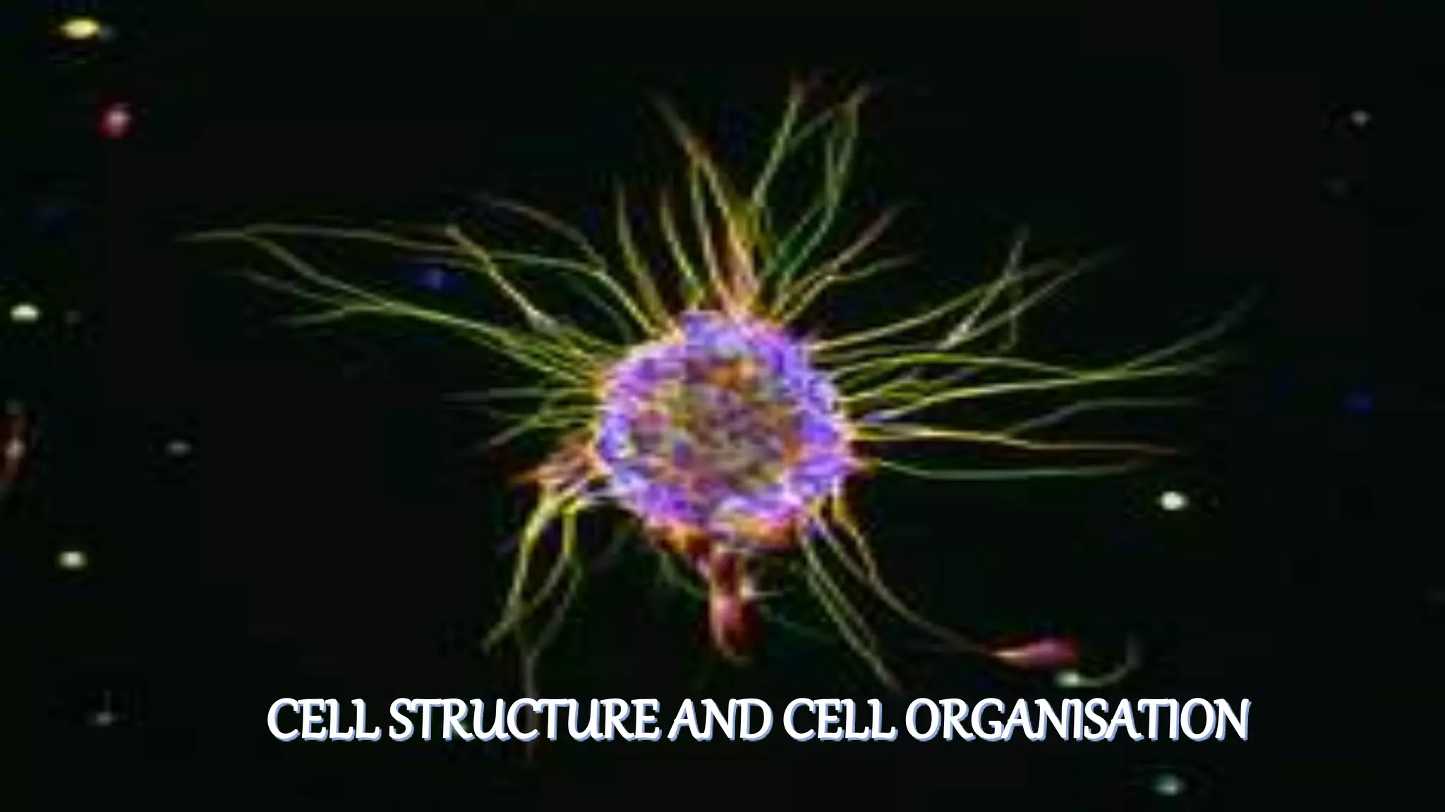 Biology form 4 chapter 2 | PPTX