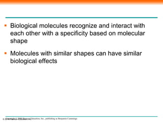 Bio chapter 2: A Chemical Connection to Biology | PPTX
