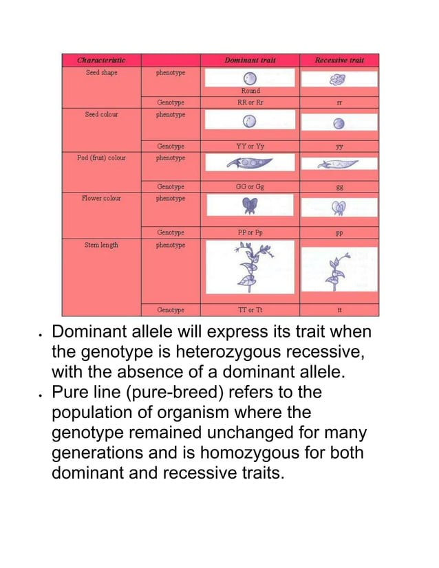 Bio chapter 5 | DOCX | Reproductive Health | Diseases and Conditions