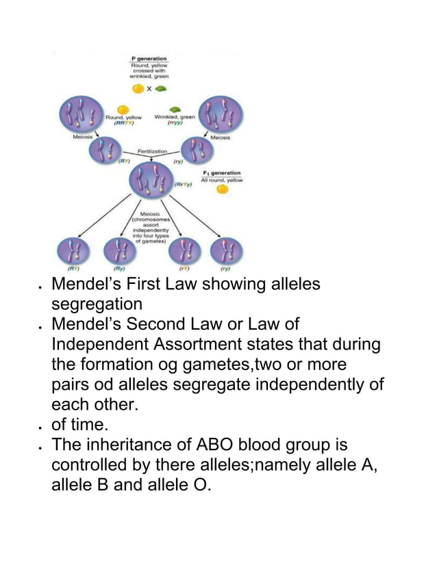 Bio chapter 5 | DOCX | Reproductive Health | Diseases and Conditions