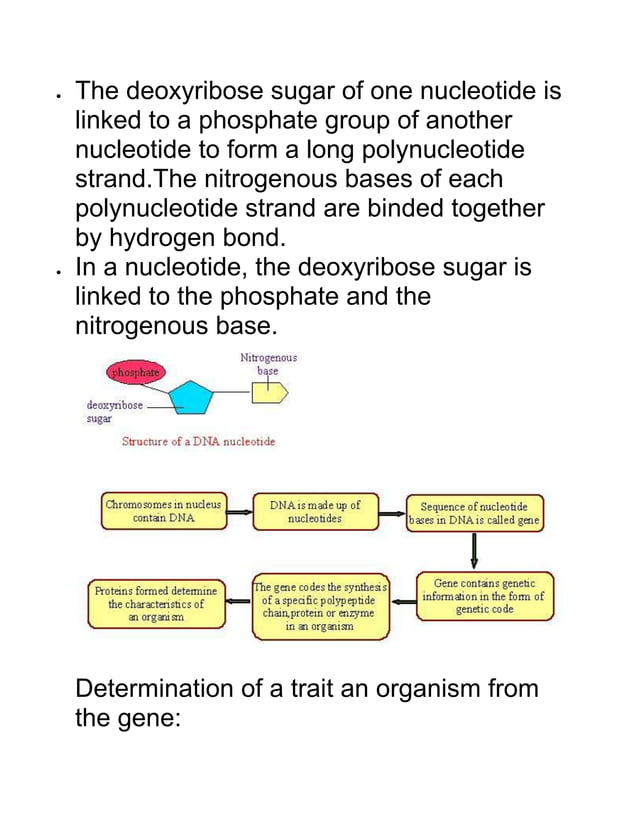 Bio chapter 5 | DOCX | Reproductive Health | Diseases and Conditions