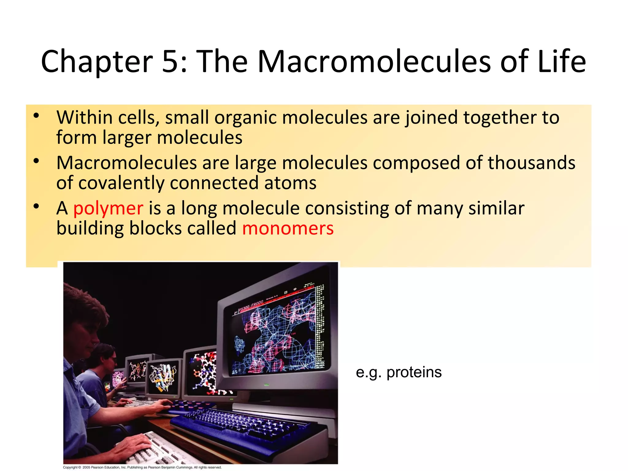 Bio Chapter 5: Macromolecules | PPT